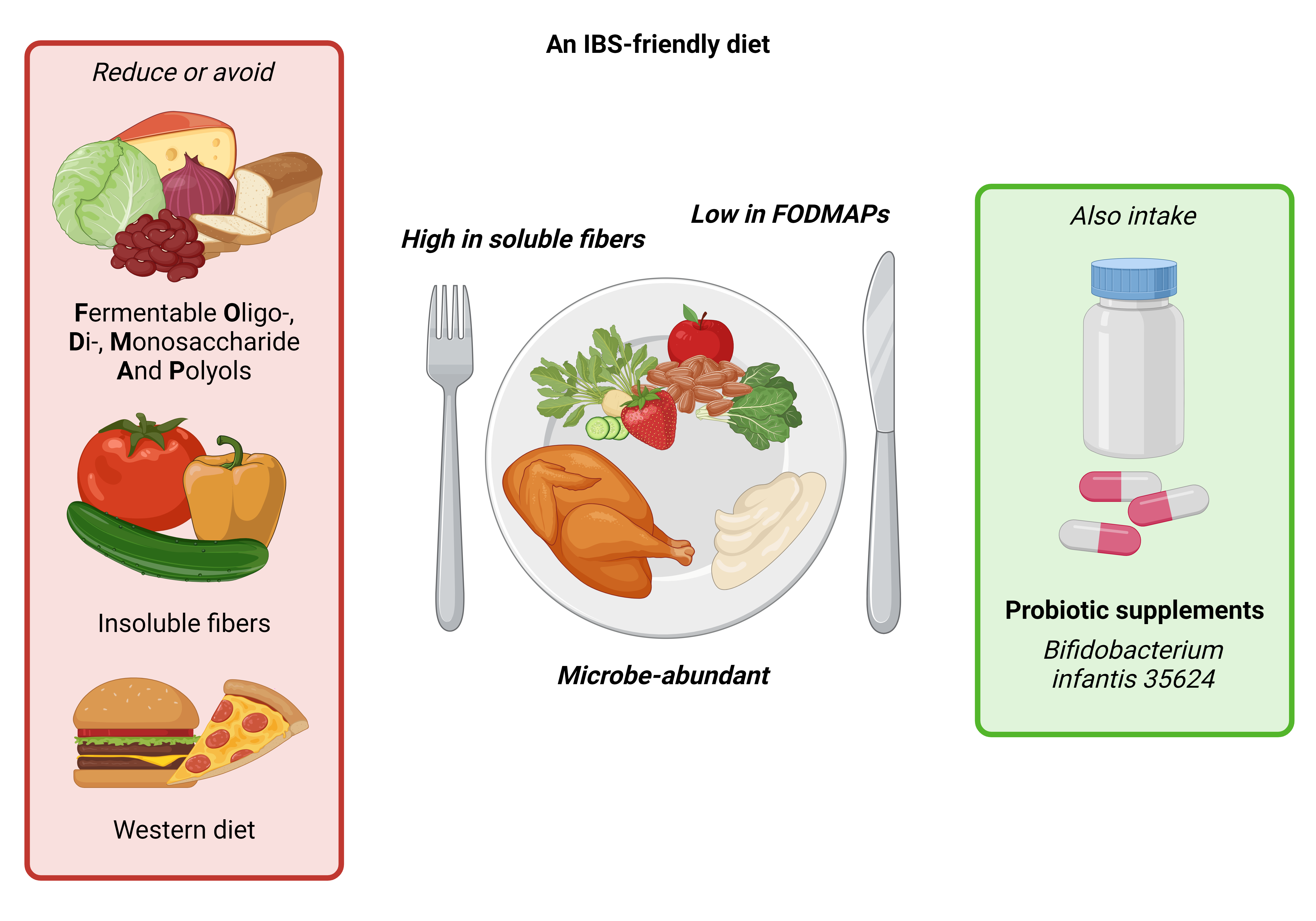 Digesting the Problem: The Gut-Brain Axis’ Connection to Irritable Bowel Syndrome | The Aggie ...